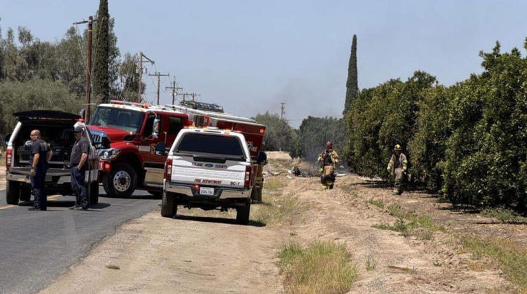 Tulare County plane crash kills one person in front of terrified witnesses