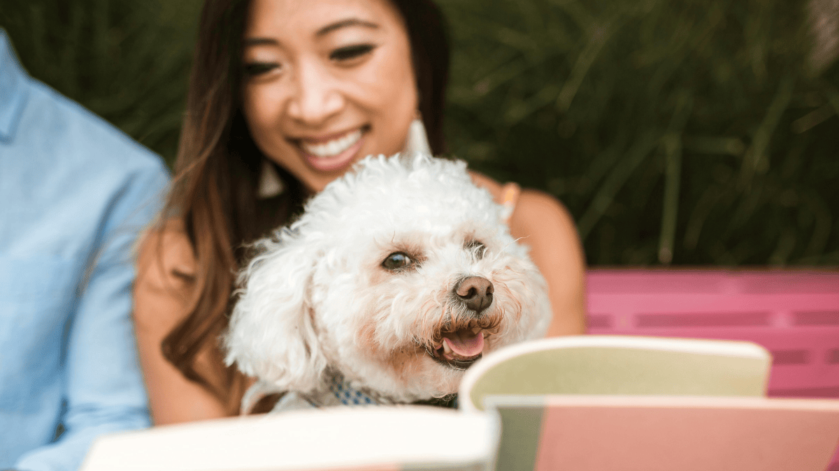 The 13 clingiest dog breeds that hate being alone