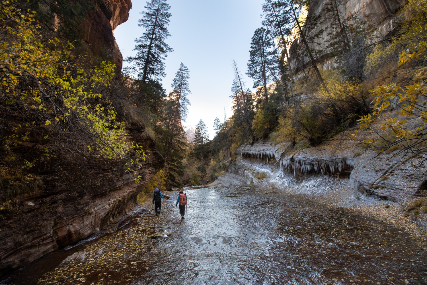 10 things that feel harmless on a hiking trail but are actually illegal ...