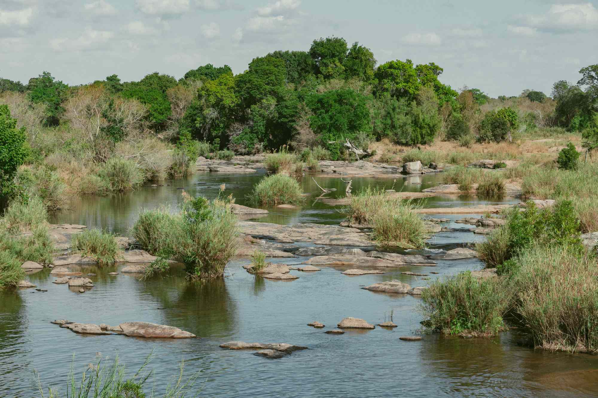 Retired couple on vacation found stabbed, bodies thrown into crocodile ...