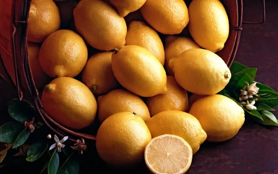 Tasting Table unveils 22 creative lemon dessert recipes