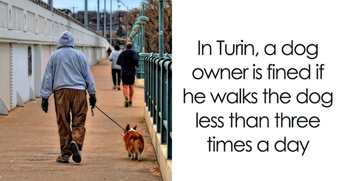 Here are 10 laws on animal protection from different countries that ...