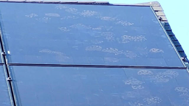 Homeowner urged to seek replacements after installer leaves footprints ...