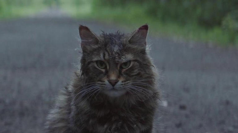 5 most disappointing Stephen King movie adaptations, ranked