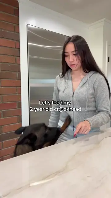Making a gourmet slow feeder dinner for my working dog
