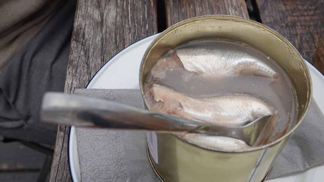 Surströmming traditions that Swedes cherish most