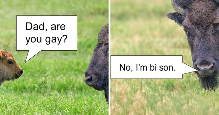 67 dad jokes that shouldn’t be funny but somehow are every single time ...
