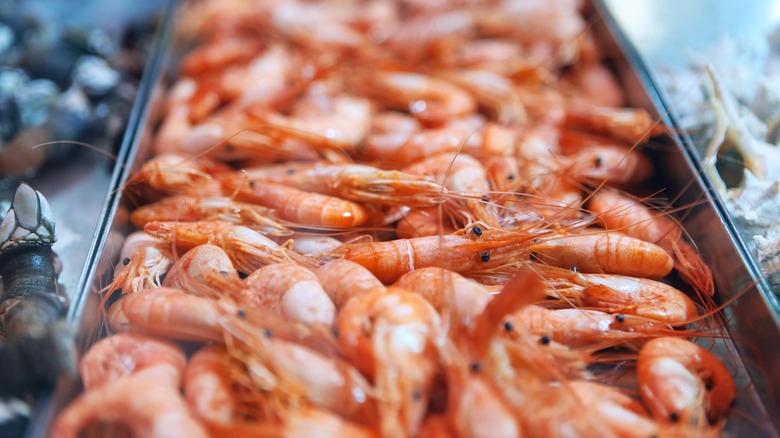 12 mistakes you need to avoid with shrimp