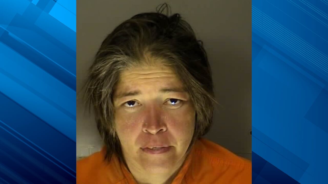 Woman charged with kidnapping after allegedly grabbing stroller in ...