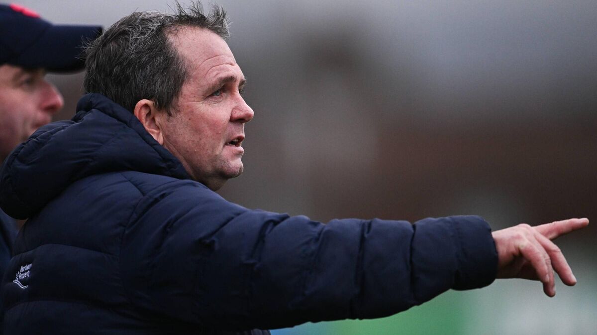 Davy Fitzgerald steps down as Antrim boss