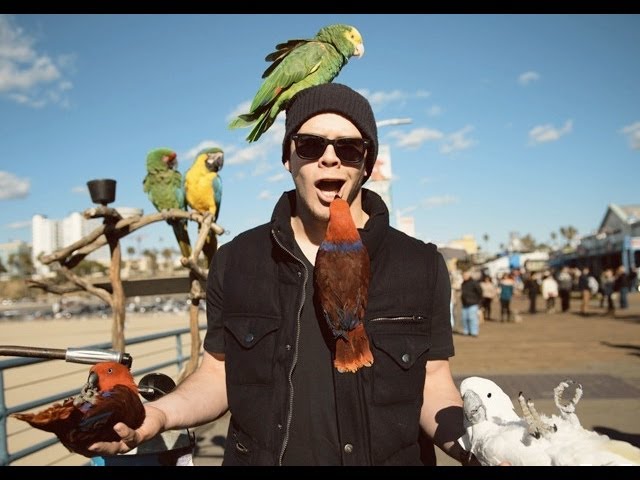 Jimmy Tatro interview | NMR feature
