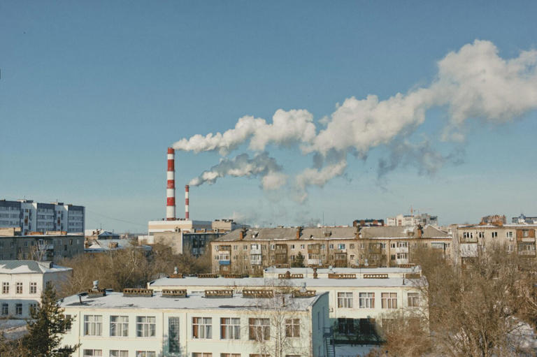 Short exposures to common air pollutants have distinct impacts on lung ...