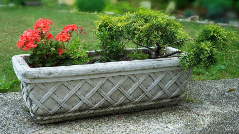 Everyone owned it in the 60s — now it's the planter we want in our gardens