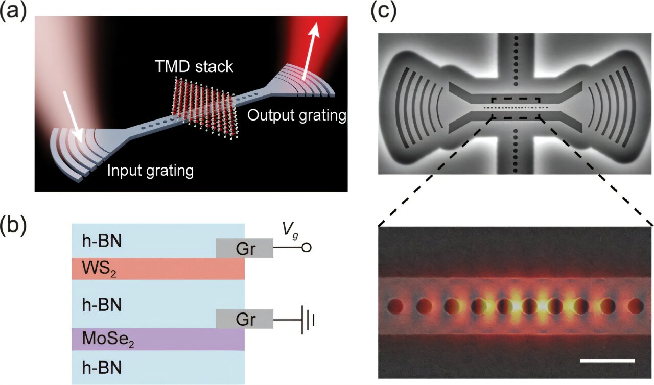 New light-based switch could cut chip energy use and speed future AI ...