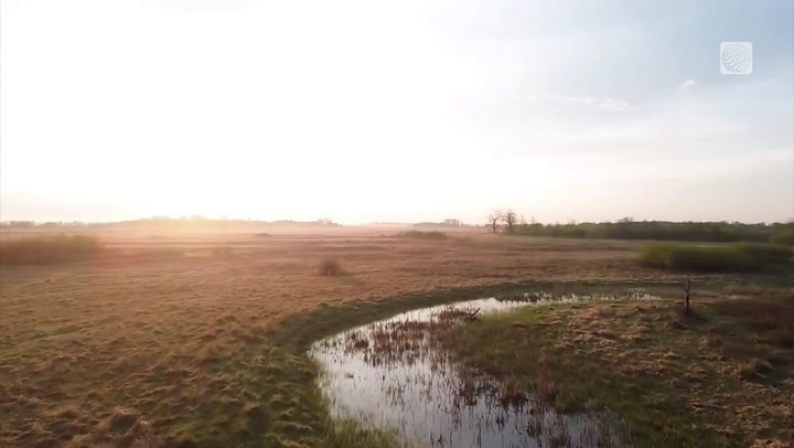 Serene sunrise over a Canadian prairie
