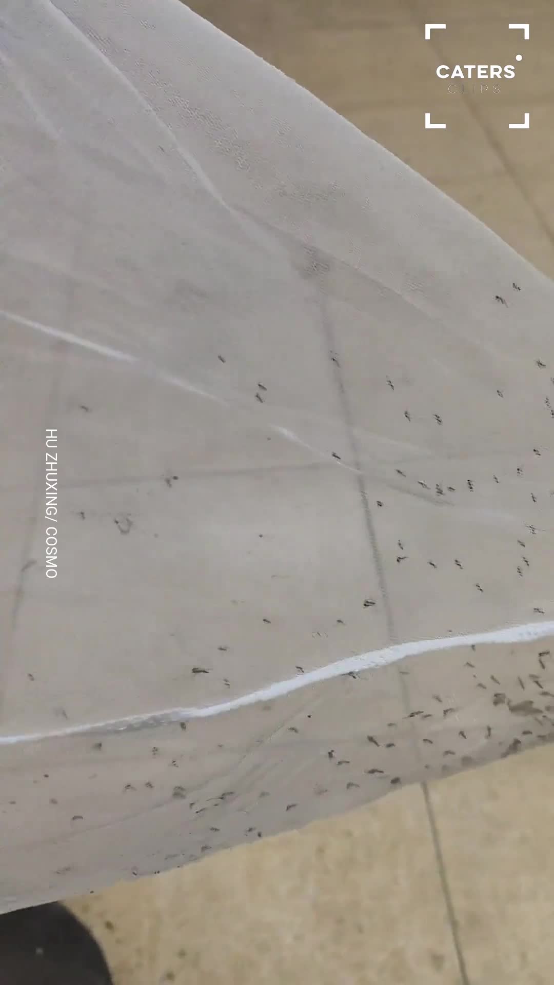 Man turns electric fan into giant mosquito trap using clever hack