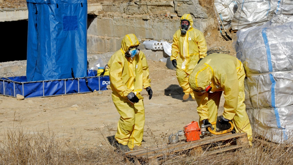 Studies reveal gut microbiome risks and pollution solutions