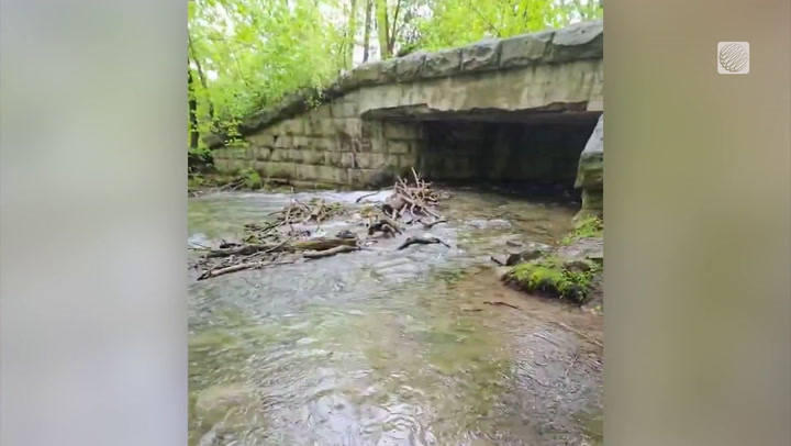 Tranquil sights and sounds of the Dufferin Islands, ON