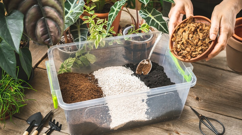 10 types of substrates for container gardening