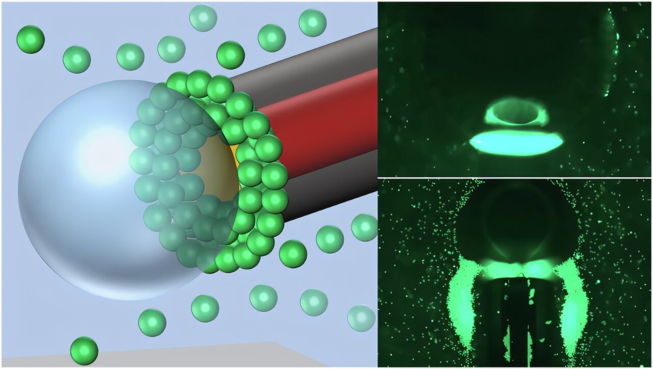 Gold-coated optical fiber rapidly gathers microscopic targets for ...