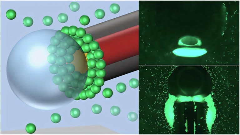 Gold-coated optical fiber rapidly gathers microscopic targets for ...