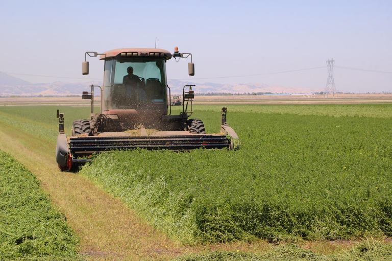 Battle over food aid and farm spending intensifies as controversial ...