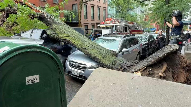 “It sounded like a bomb going off”: Tree smashes into Amazon cargo bike ...