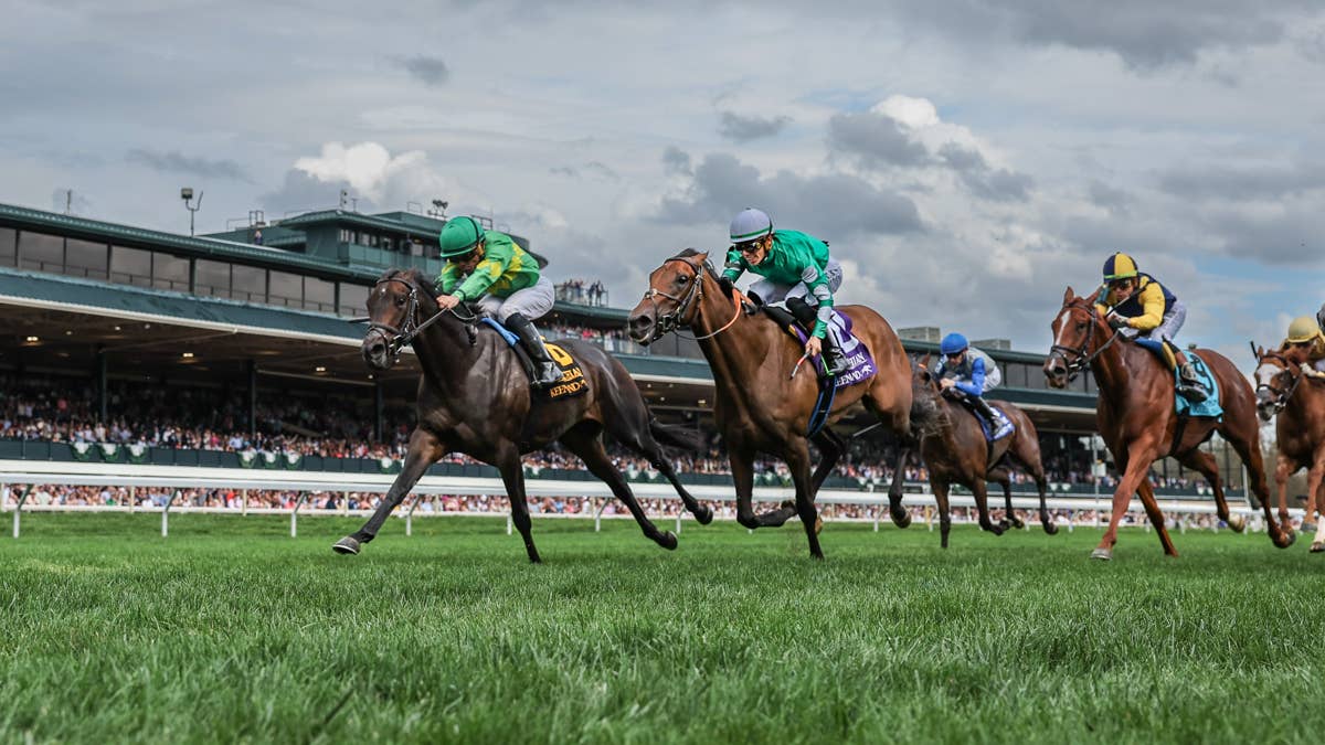Grade 2 winner Storm's Wake among wide-open field for Regret