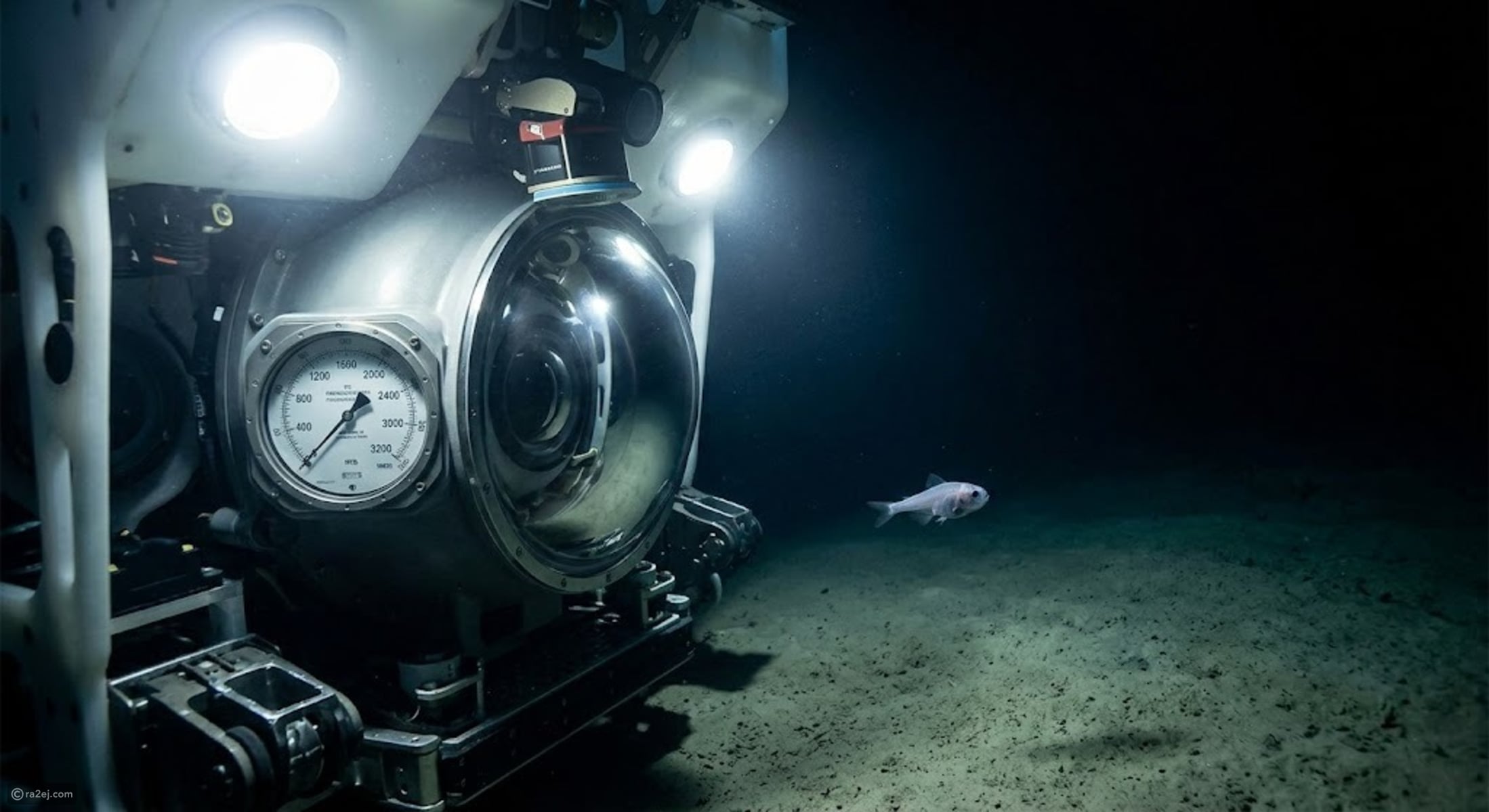 Scientists finally solve mystery of strange golden orb found deep in ...