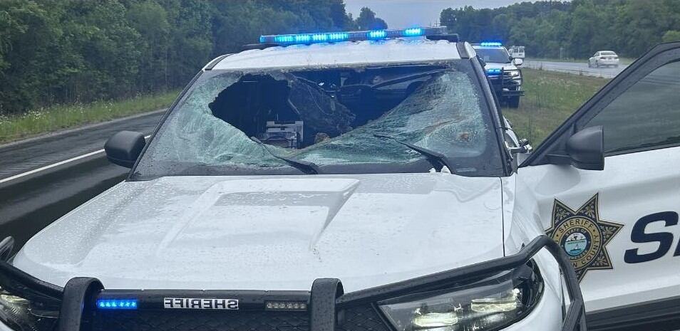 Tennessee deputy injured after deer crashes through cruiser windshield