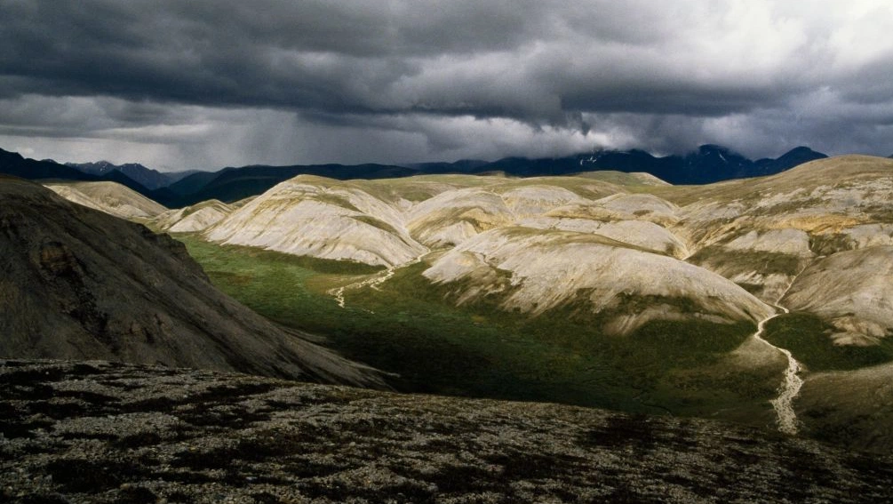 Ancient Canadian fossils rewrite early animal evolution timeline