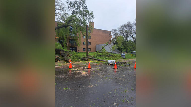 Toronto Hydro responded to hundreds of power incidents after heavy rain ...