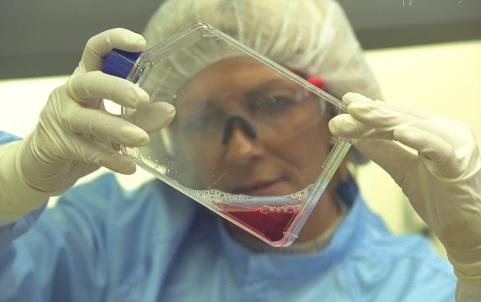 Scientists revive microbes buried for over 100 million years
