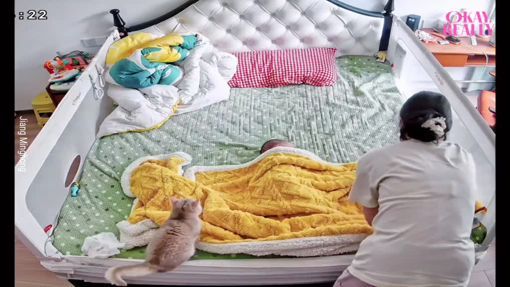Sweet cat melts hearts after snuggling up to sleeping infant