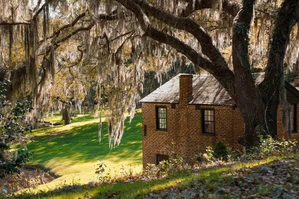 Bill Murray joins effort to save rare 1741 chapel at Middleton Place