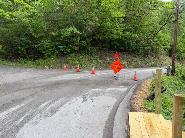 Beaver County road reopens after fallen tree brought down power lines