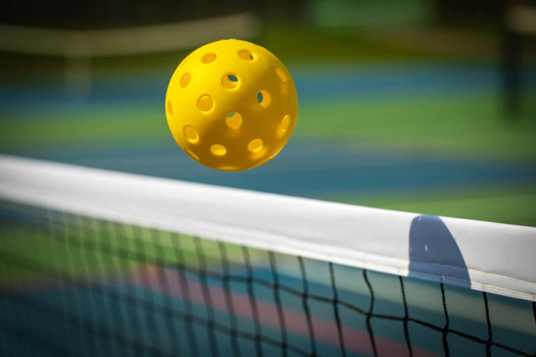 Petulant pickler cut pickleball nets at Pennsylvania parks because ...