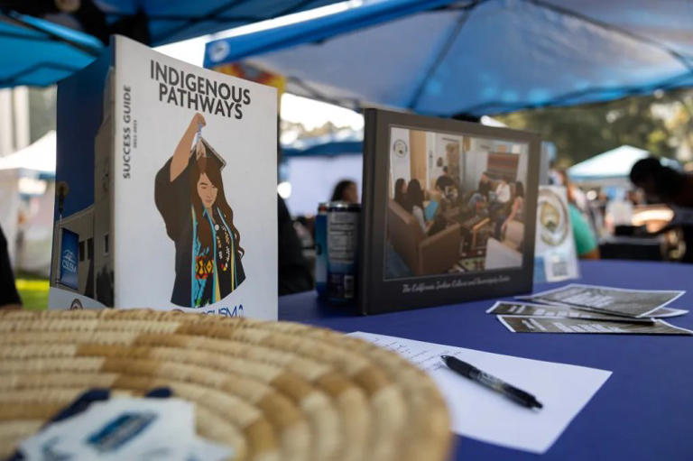 ‘Feels like erasure’: Why Native American students may be undercounted ...