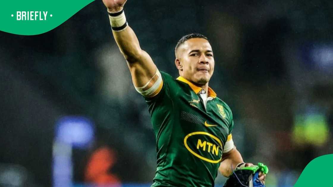 Cheslin Kolbe nears stunning return as Stormers pull off Springbok heist