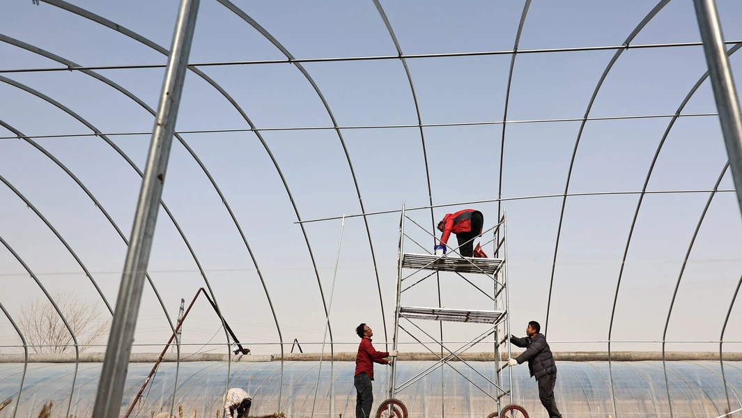 Greenhouse dreams made simple for gardeners