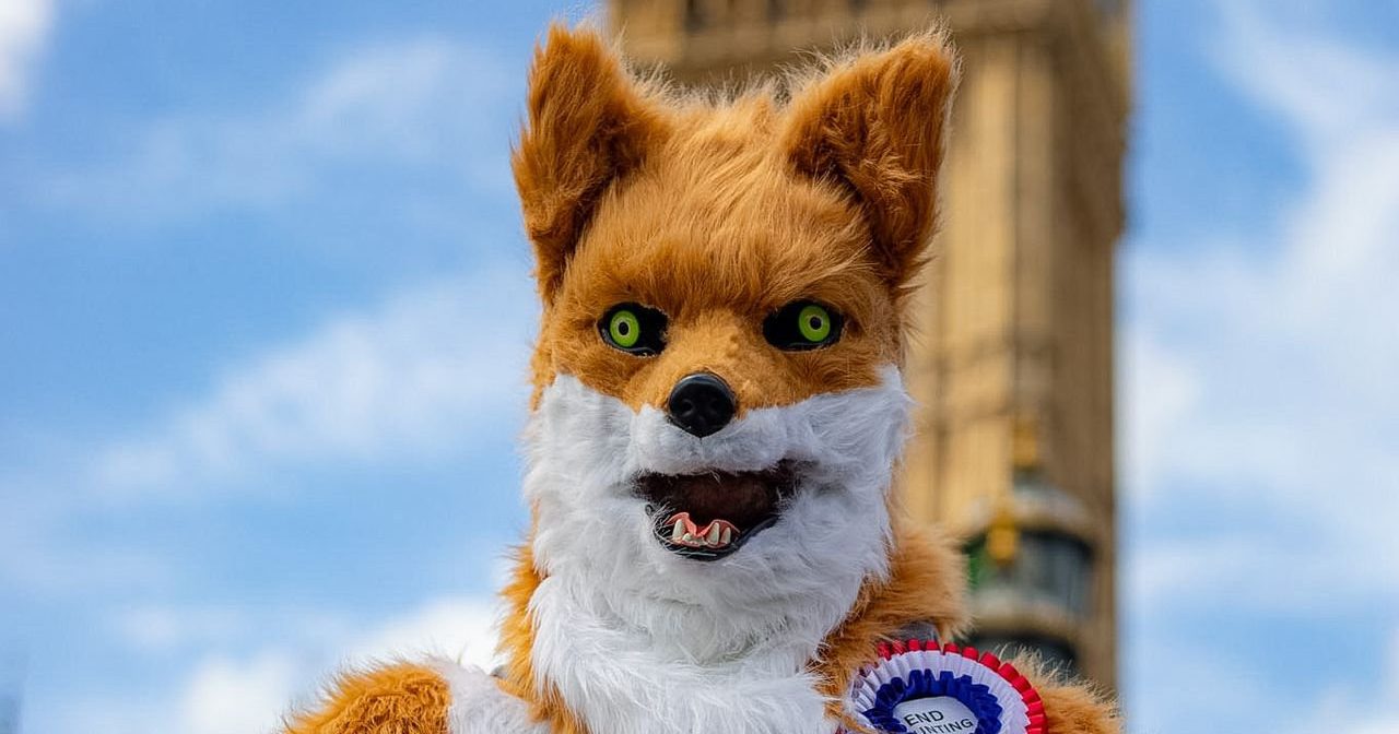 A giant fox is running against Andy Burnham in the Makerfield by-election