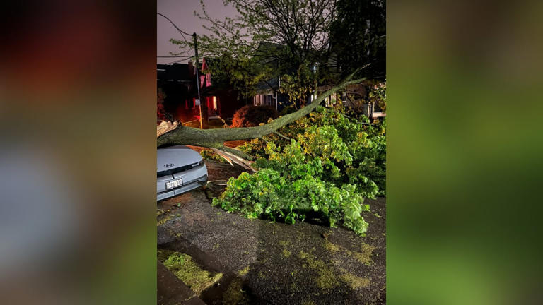 Toronto Hydro responded to hundreds of power incidents after heavy rain ...