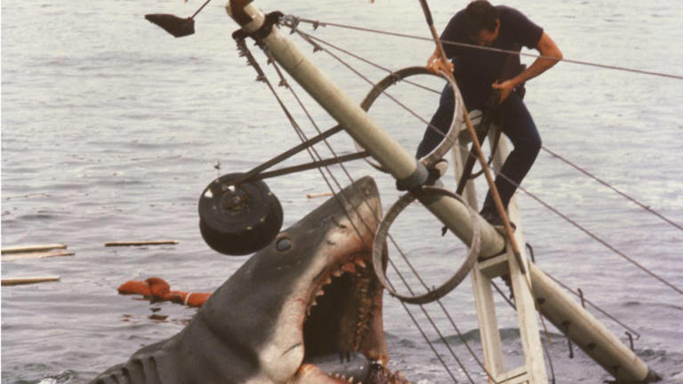 Celebrating 51 years of 'Jaws': Discover which original stars are still ...
