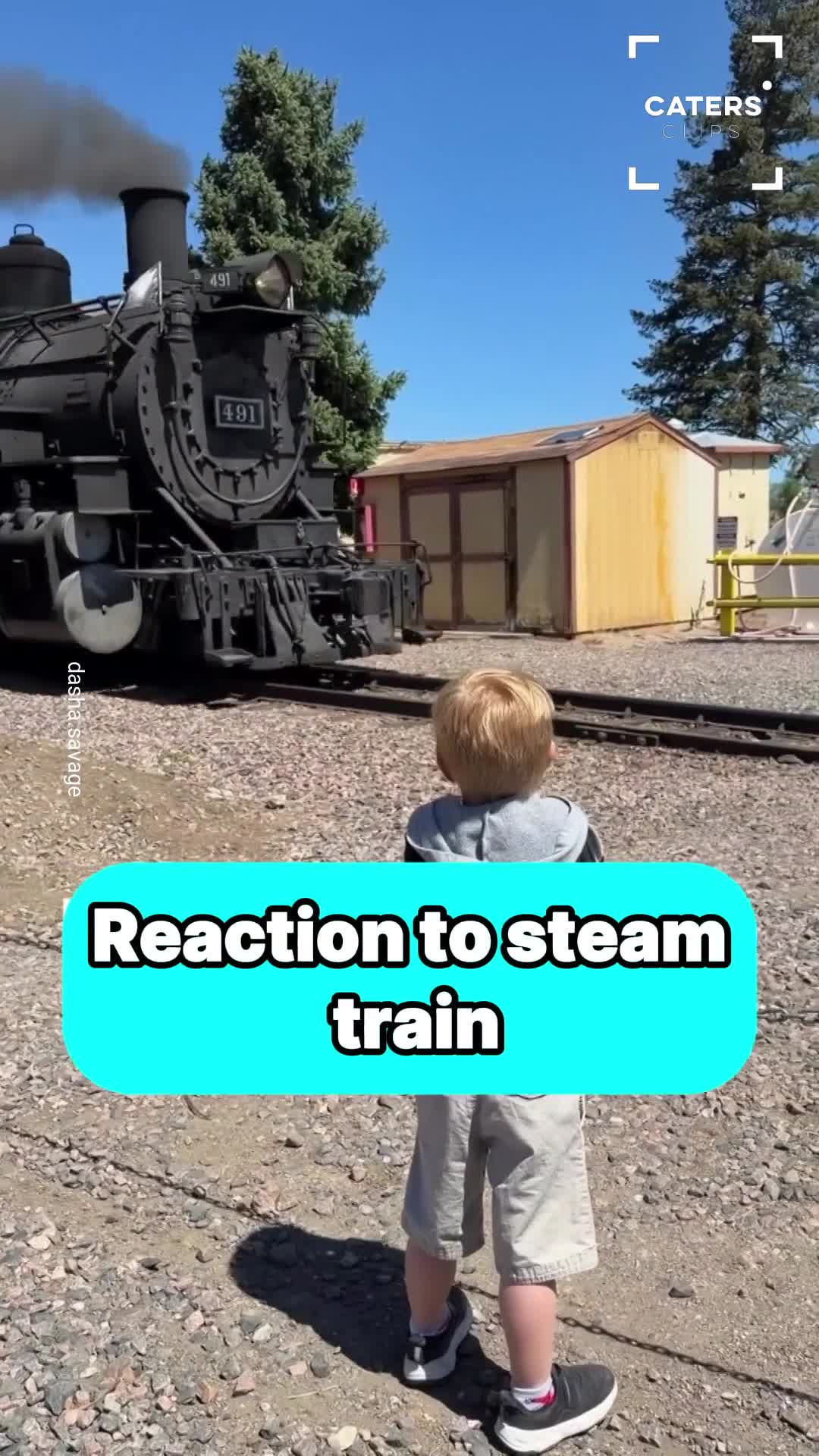 Young boy left speechless watching Rio Grande steam train pass by