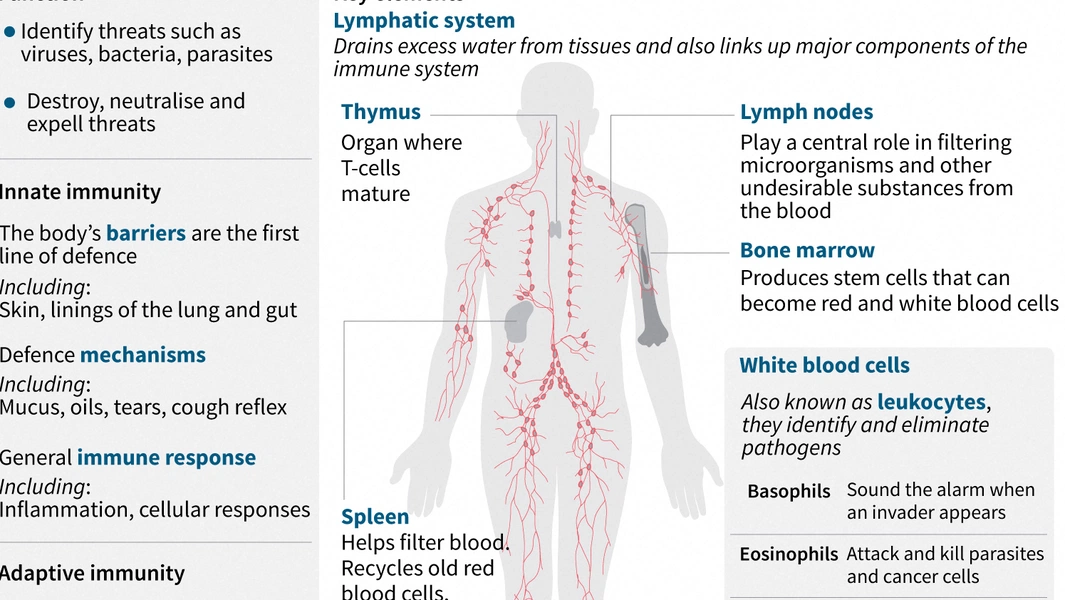Living well with Hashimoto's thyroiditis