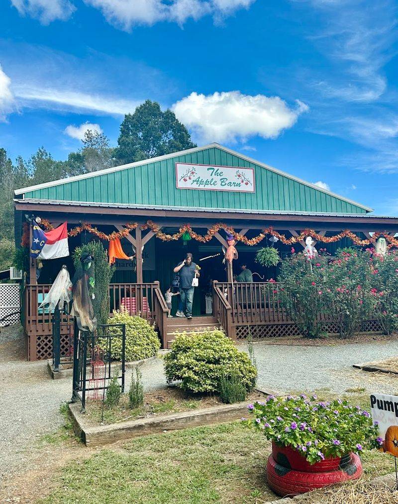 The massive North Carolina orchard and bakery where crowds flock for ...