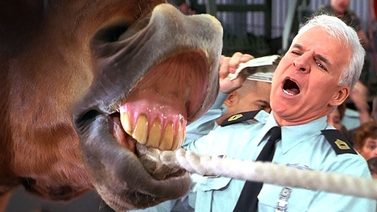 Bilko bets on tug of war with a horse, Sgt. Bilko