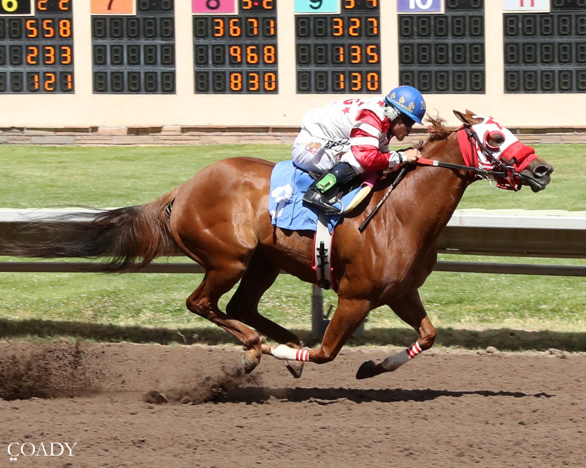 10 horses qualify for Ruidoso Derby final in Albuquerque, New Mexico