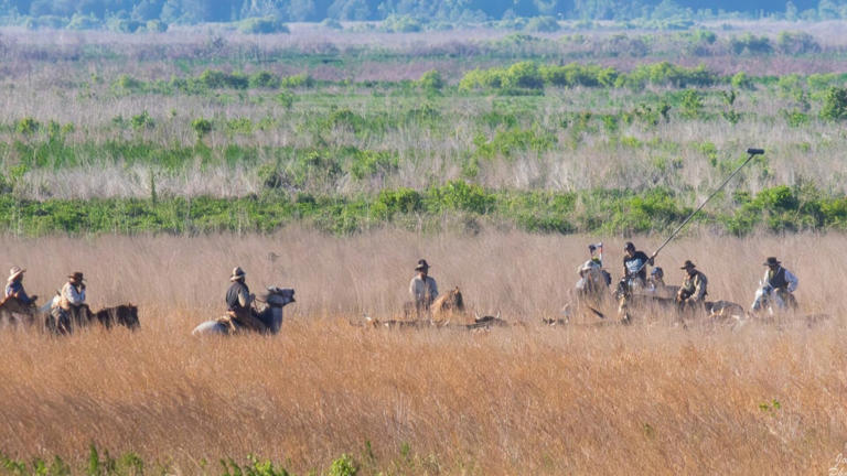 Paynes Prairie serves as backdrop for 'A Land Remembered' film adaptation
