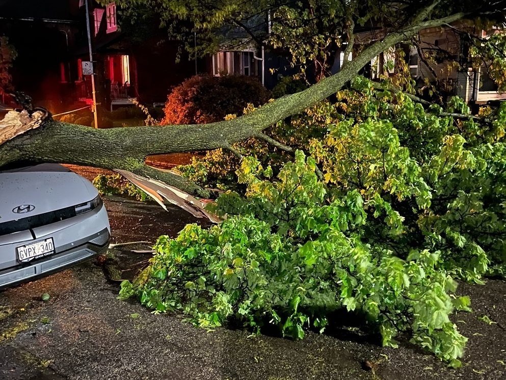 Power outages could stretch into Monday for remote areas of GTA: Hydro One